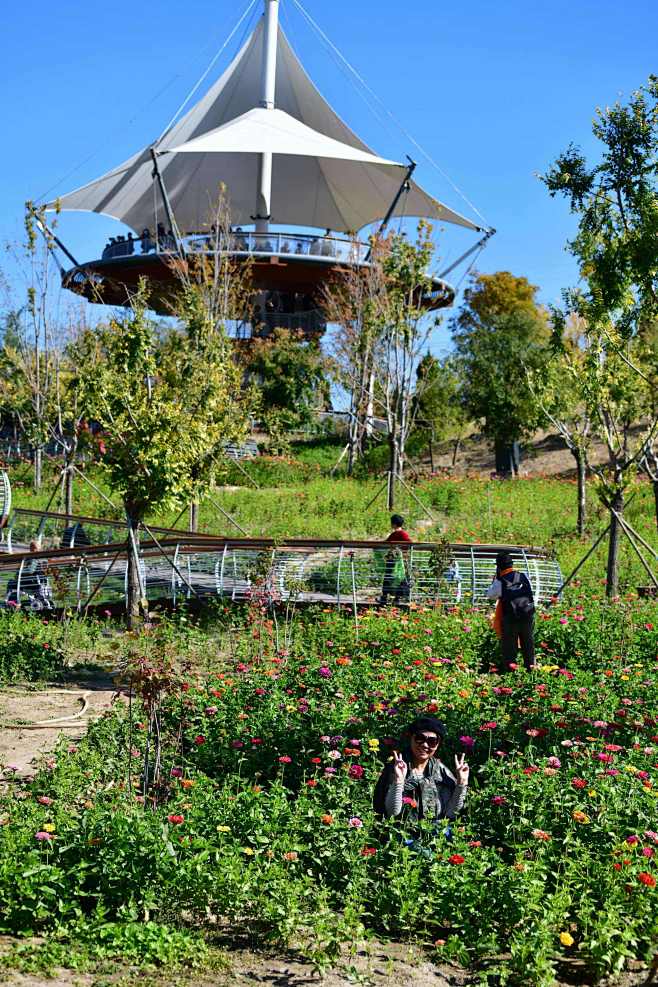观景塔，观景平台-花瓣网
