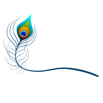 Mor Pankh Peacock, Mor Pankh, Peacock, Feather Tails PNG and Vector ...