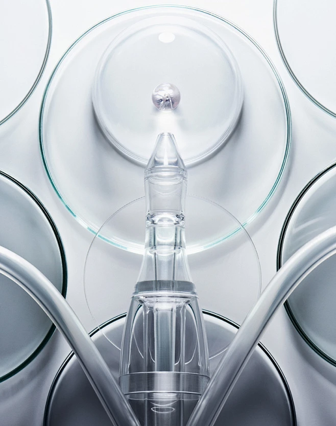 Complice - Artist : Gallery - Florian Sommet - Still life-花瓣网