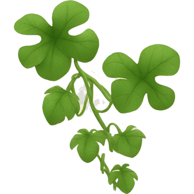 vines emoji-花瓣网
