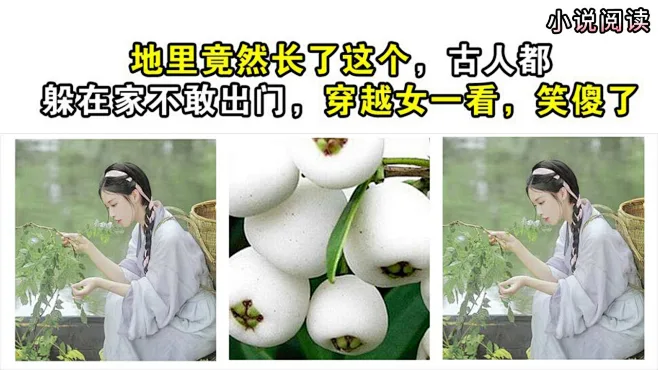 女-古言-大图-无-26LSQ-1206 (1)-花瓣网