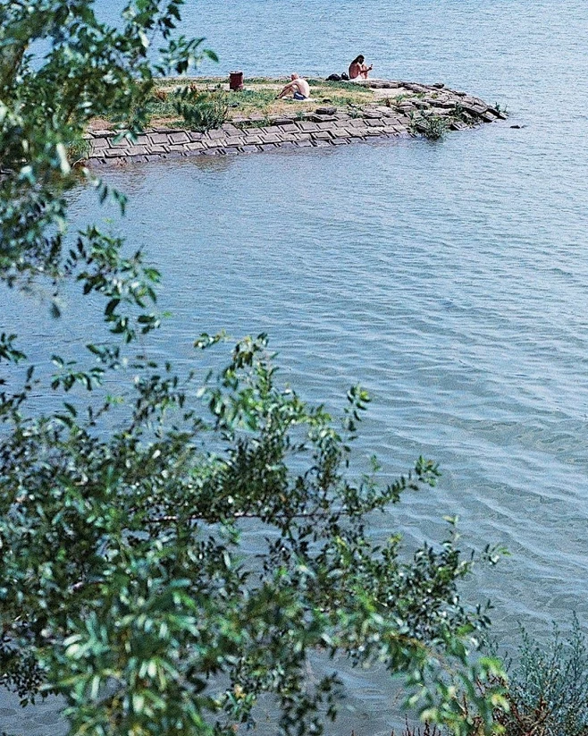 rie_rabbit (12)-花瓣网