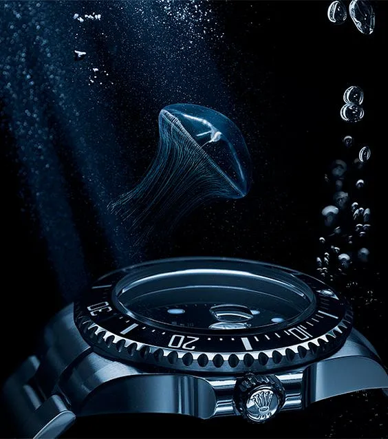 Creatures of the deep: Mitrocoma cellularia and the Sea-Dweller.-花瓣网