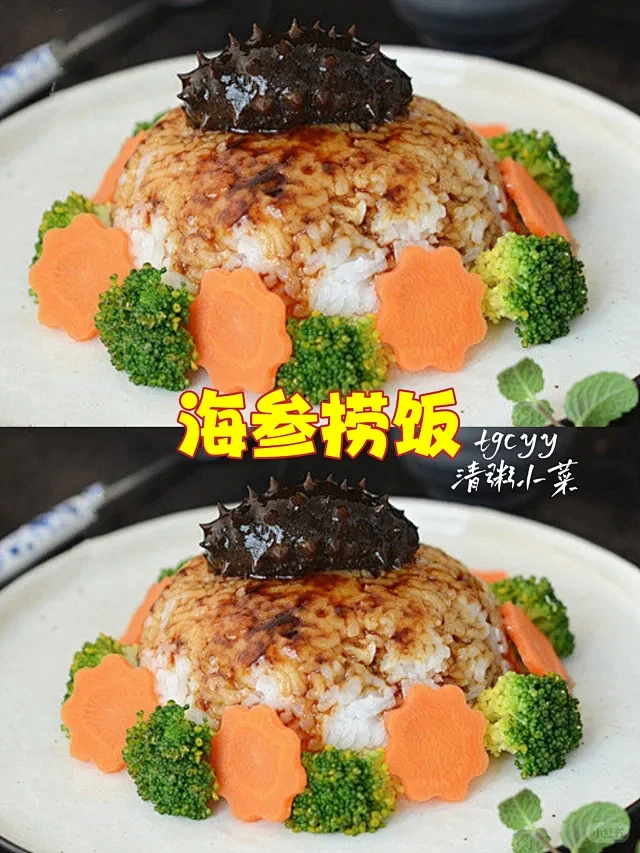 海参捞饭 - 小红书搜索-花瓣网