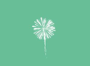 Beautiful Animated Firework Sparklers Gifs-花瓣网