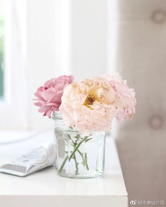 #素材#绘画素材第45辑——插在玻璃瓶里的花。| 摄影：Angela Steyn，更多：O网页链接 -花瓣网