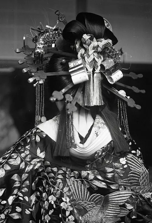 Rear close-up of the complex hair-arrangement of a tayuu (courtesan ...