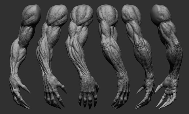 ArtStation - Creature arms