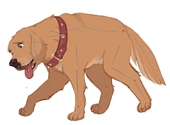 2D Animation animal Character character animation dog game character ...