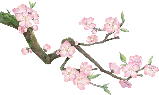 tl.png (163 KB,550*330)-花瓣网