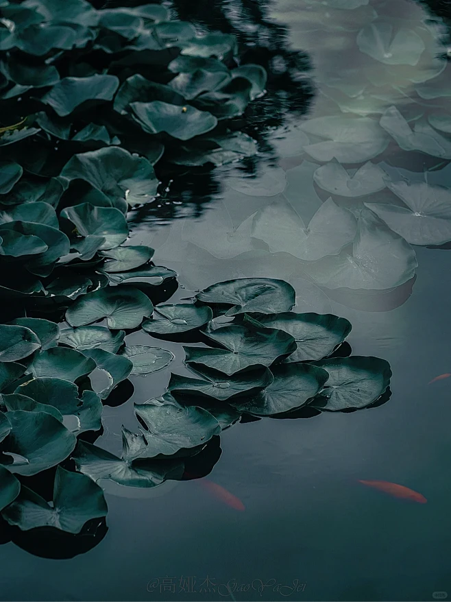 苏州园林|网师园|苏州最小精巧雅致园林之一-花瓣网