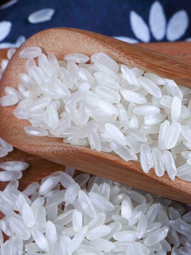 十月稻田 2019年新米五常大米10斤5kg官方旗舰店东北农家稻花香米-tmall.com天猫