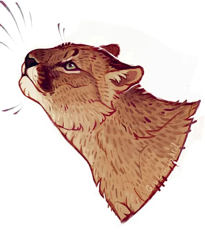 Giulialibard 作品的主题大多是猫狗狮虎等等动物，灵动飘逸的体态，还有对毛发的独特画法，给人软绵蓬松的感觉。-花瓣网