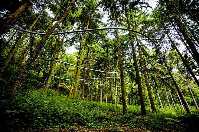 Home - Rollglider-花瓣网