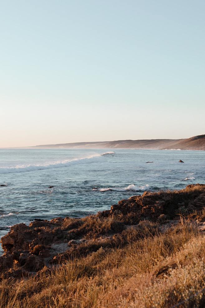 pexels-rachel-claire-4992482