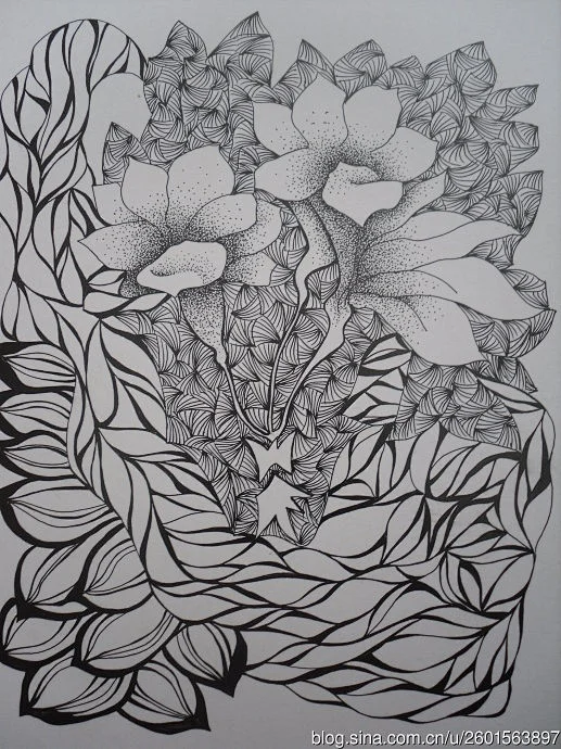 植物黑白装饰画-花瓣网