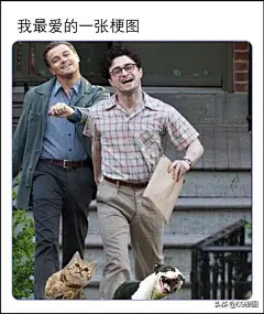 二刺螈随地大小变-花瓣网