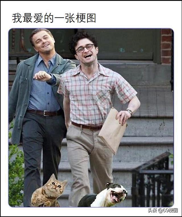 梗图原图的搜索结果_百度图片搜索