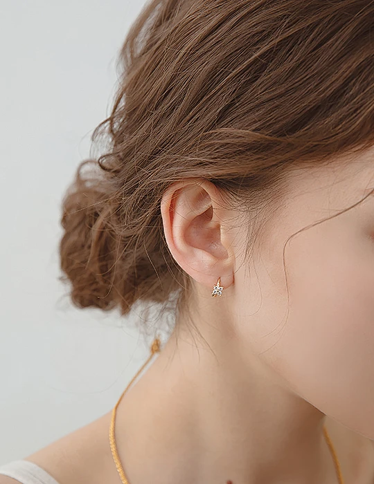 迷你花瓣鋯石。銀針耳環 | lionmango-花瓣网