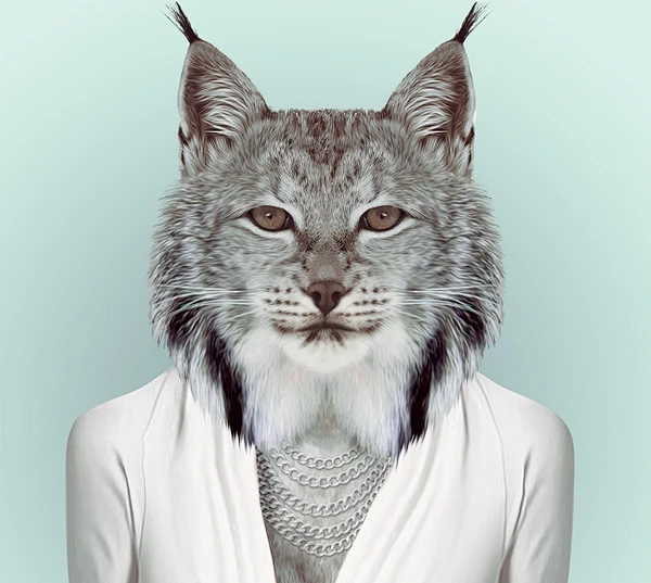 Yago Partal 衣冠禽兽摄影作品集-花瓣网