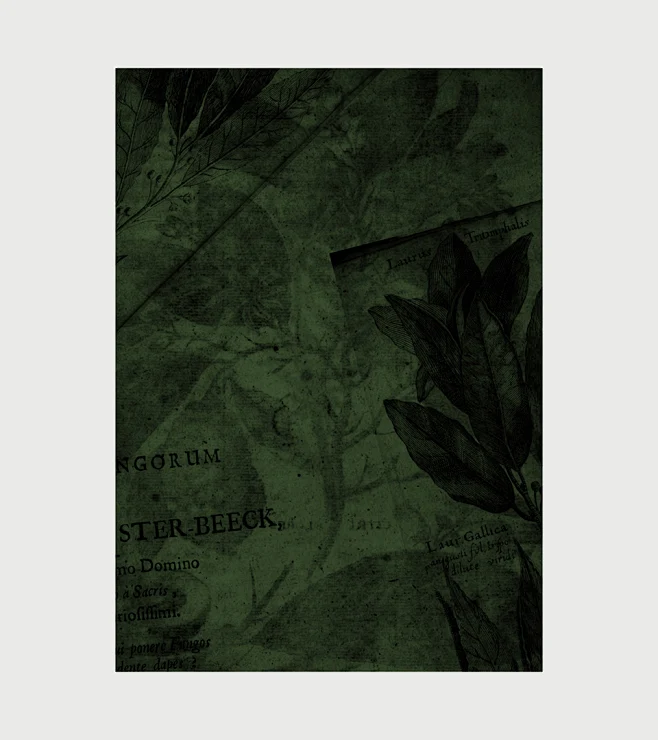 Kitchen Pub Krapiva design designer-花瓣网