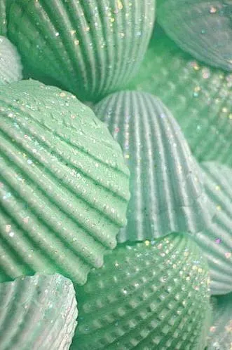 How To Dye Sea Shells in Any Color ! Great For Seasonal And Holiday ...