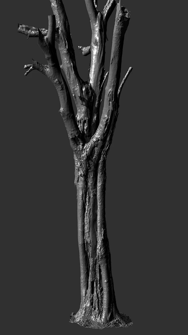 500k tris UV mapped-花瓣网