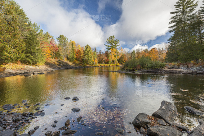 秋天,加拿大,流水,森林,安大略省,河流,天空,水平画幅,无人,穆斯科卡