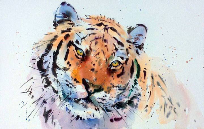 Jake Winkle的一组水彩动物