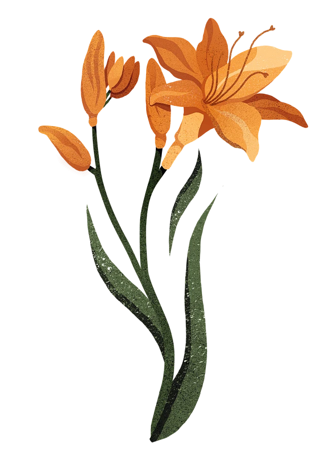 Flower pattern design-花瓣网