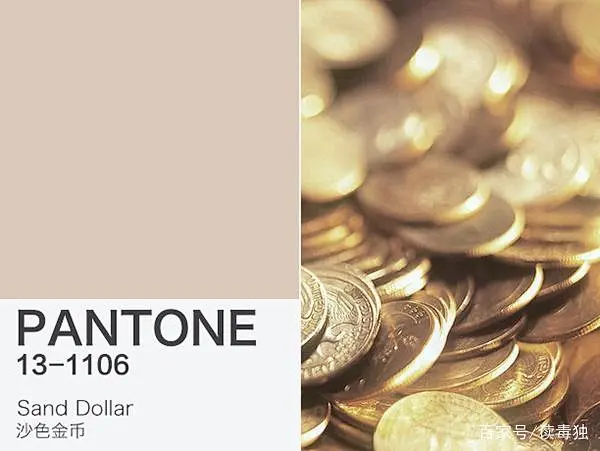 盘点2000-2019 PANTONE年度流行色-花瓣网