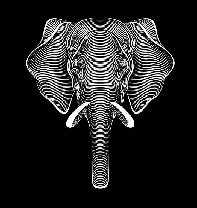 Faces III : --花瓣网