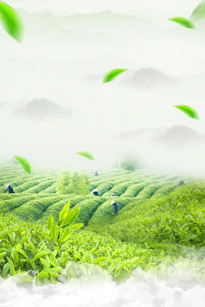 新图网_绿色茶园海报背景_ixintu https://ixintu.com/sucai/7SQeekVjg.html?x=cdfcch-花瓣网