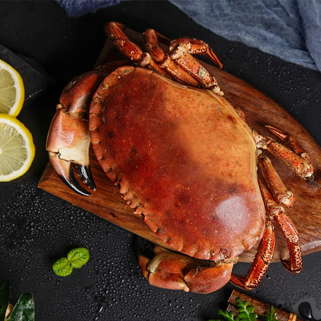 味库活英国面包蟹600g-800g大螃蟹黄金蟹发财蟹活体海蟹海鲜水产-tmall.com天猫-花瓣网