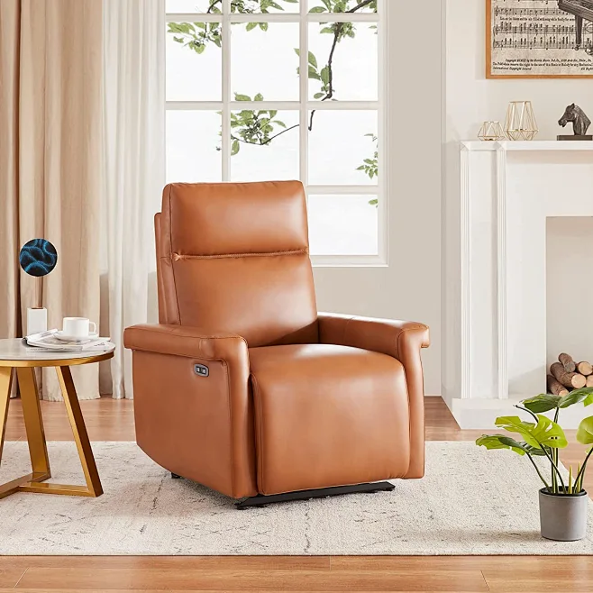 Amazon.com: Dreamsir Electric Power Recliner Chair, Modern Design Faux ...