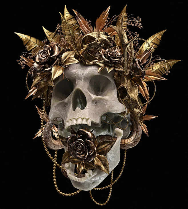 Billelis_Origin_Aboriginal_3D_illustrations_skull-花瓣网