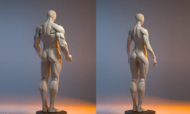 ArtStation - Anatomy in motion-花瓣网
