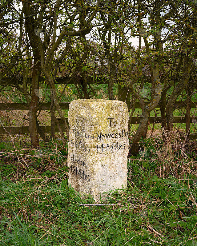 贝尔赛附近A696上的古老里程碑