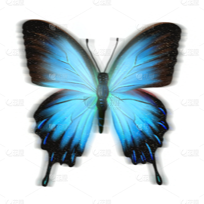 Butterfly Sticker