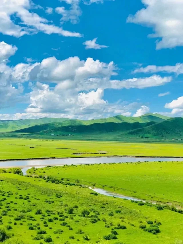 北极村-小红书搜索-花瓣网