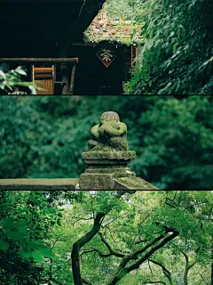 青城山下幽-花瓣网