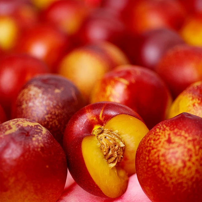 nectarine : nectarine-花瓣网