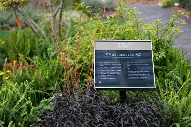 640 (1080×720)-花瓣网