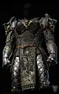 Ketheric Thorm Armor - Baldur's Gate 3-花瓣网
