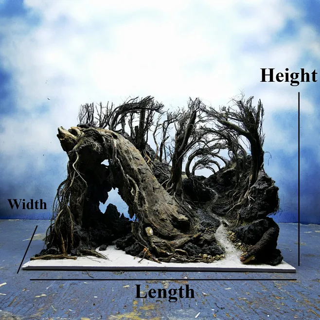 This may contain: an image of a tree stump with height and length-花瓣网