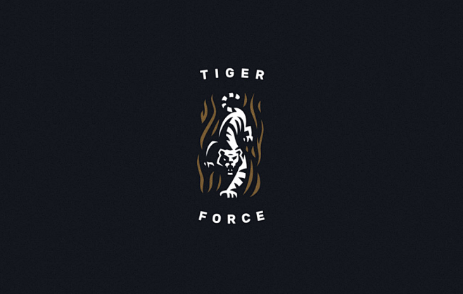 TIGER FORCE 老虎 动物 强壮 剪影 商标设计 图标 图形 标志 logo 国外 外国 国内 品牌 设计 创意 欣赏