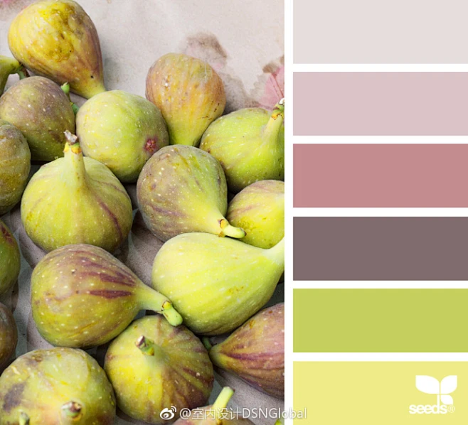 莫兰迪色系 • 缤纷水果色 微博@室内设计DSNGlobal 灵感 色彩 方案 场景 平面 设计 素材 rgb 色值 视觉 广告 品牌 插画 摄影 风景 静物 素描 旅行 手工 布艺 儿童 ...