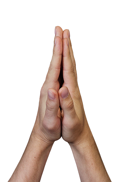 pray 祈祷 手势PNG免抠图