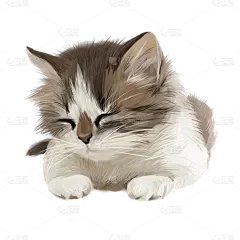 手绘-宠物用品贴纸套系-猫碗素材-花瓣网