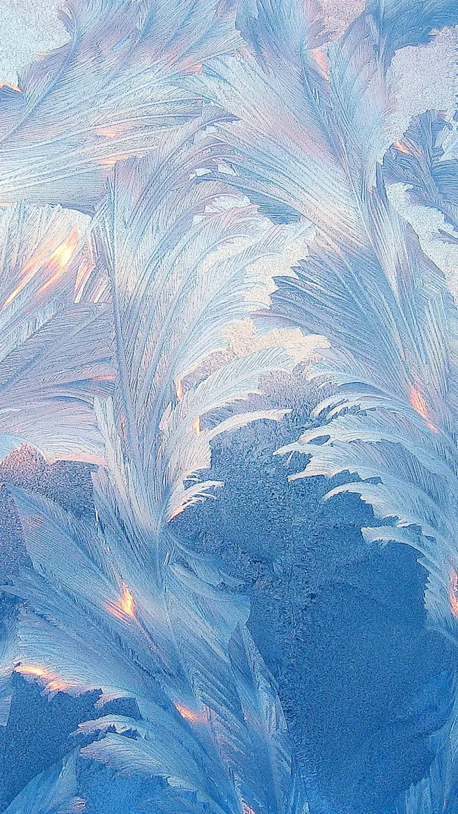 (287) Pinterest-花瓣网